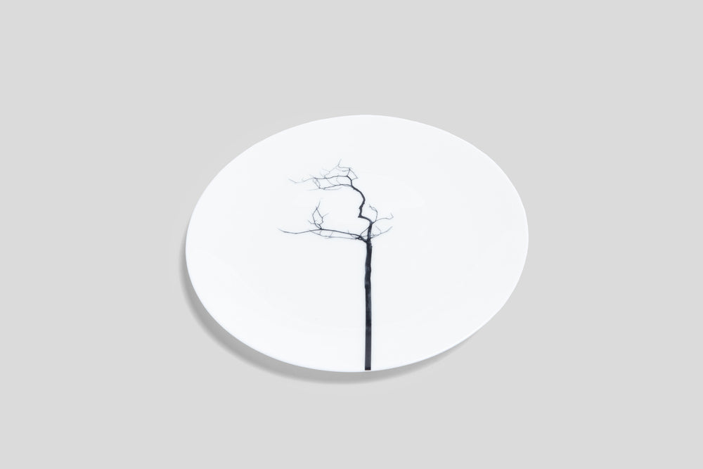 Dibbern Black Forest Plate 5 Sizes | Bodo Sperlein Fine Bone China