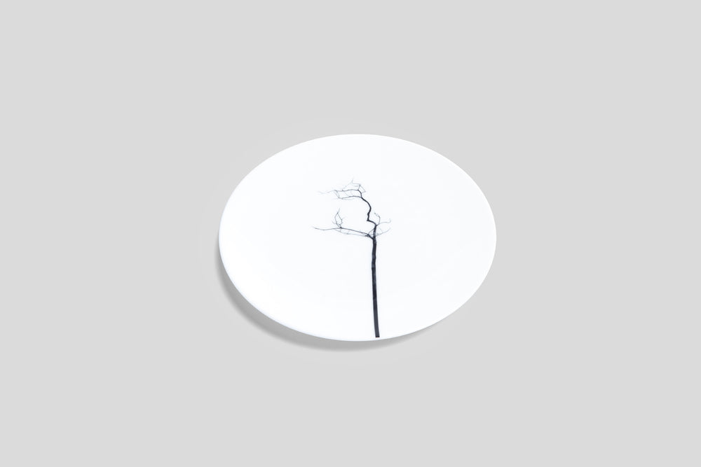 Dibbern Black Forest Plate 5 Sizes | Bodo Sperlein Fine Bone China