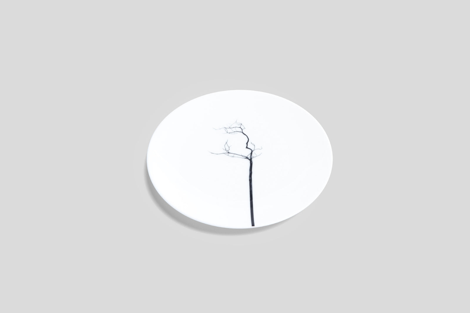 Dibbern Black Forest Plate 5 Sizes | Bodo Sperlein Fine Bone China